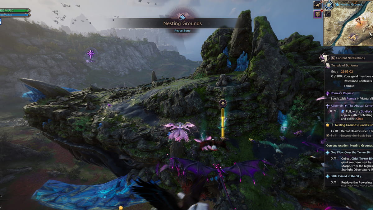 How to complete the Little Friend in the Sky quest in Throne and ...