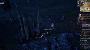 Throne and Liberty: How to find the Fonos Basin Treasure Chest ...