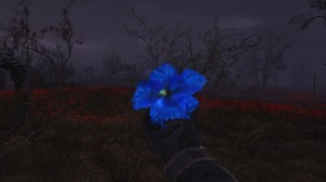 All legendary artifacts and how to find them in Stalker 2