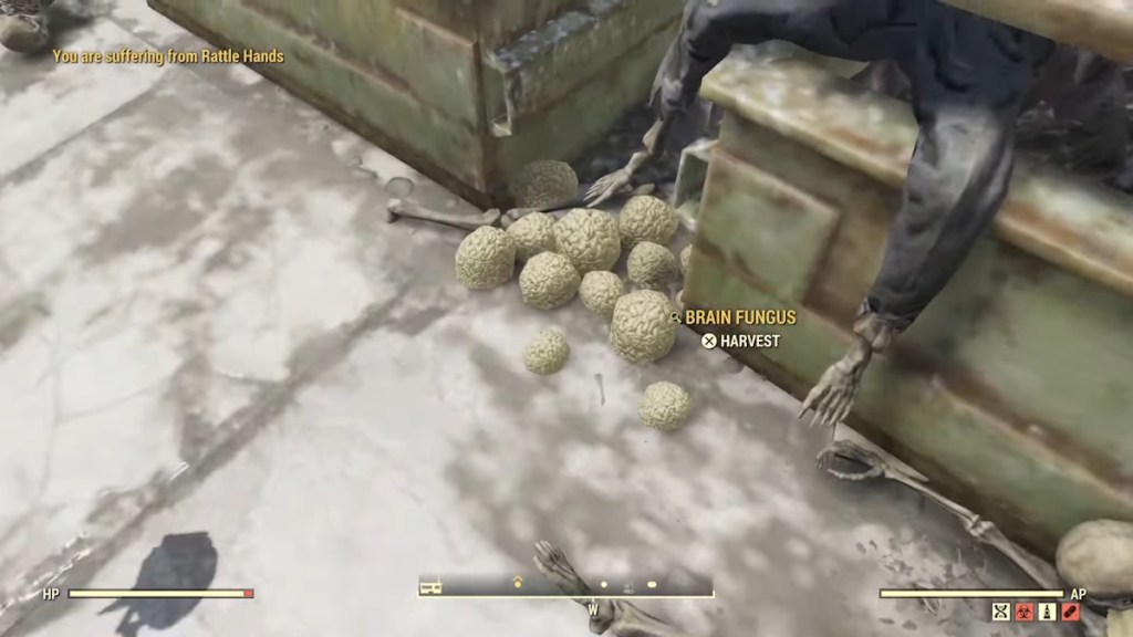 How to find Brain Fungus in Fallout 76 – Destructoid