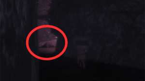 All 13 Festering Meat locations in Roblox Growth of Giggle RP – Destructoid