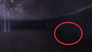 All 13 Festering Meat locations in Roblox Growth of Giggle RP – Destructoid