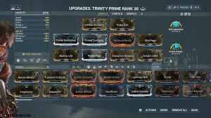 The best Warframe Trinity rework build – Destructoid