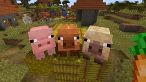 Minecraft Spring To Life update release date and all new features ...