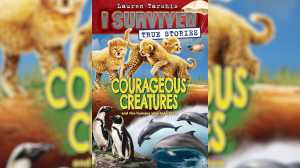 10 Best I Survived books for kids – Destructoid