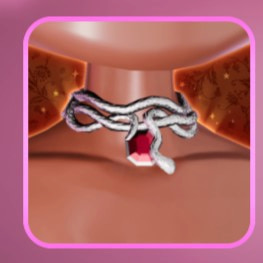 Dress to Impress (DTI) Lunar New Year update codes for 3 new items