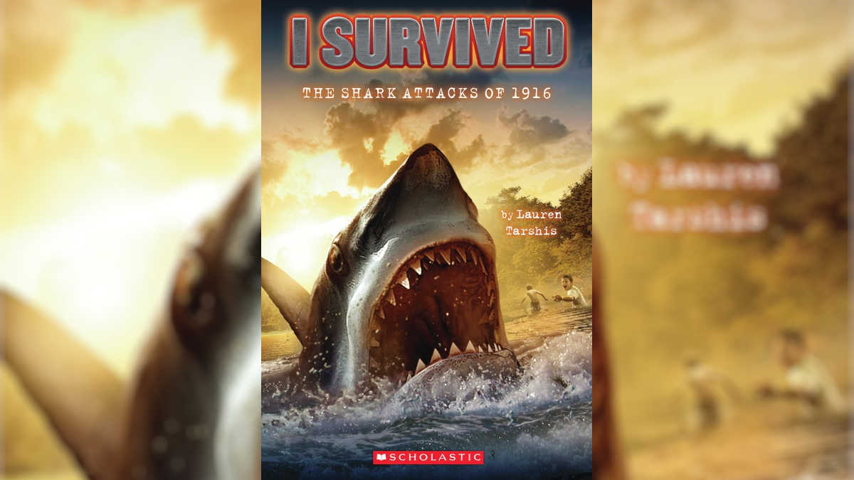 10 Best I Survived books for kids – Destructoid
