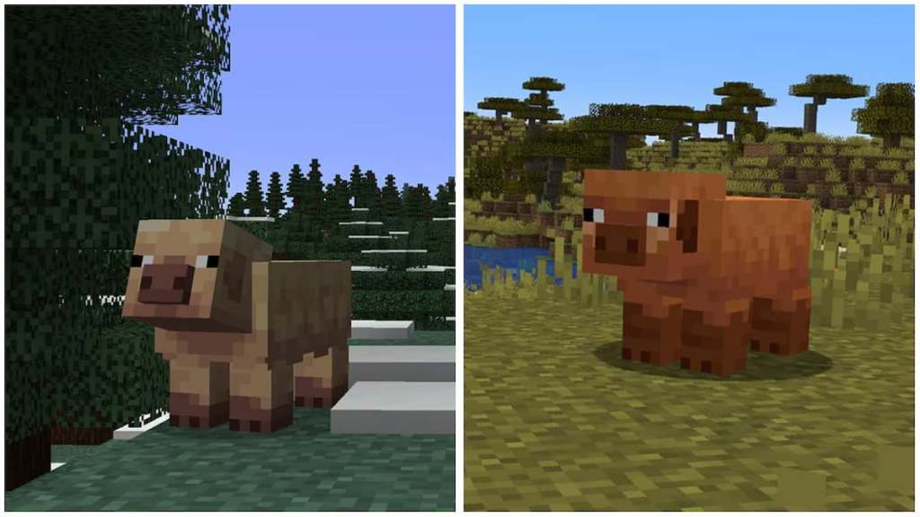 All new features in Minecraft New Year update