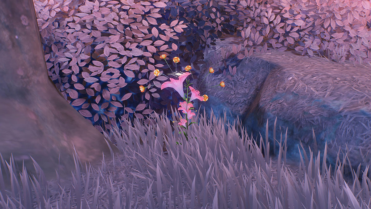 All Firecracker Jewelweed locations in Wuthering Waves: Where to find ...