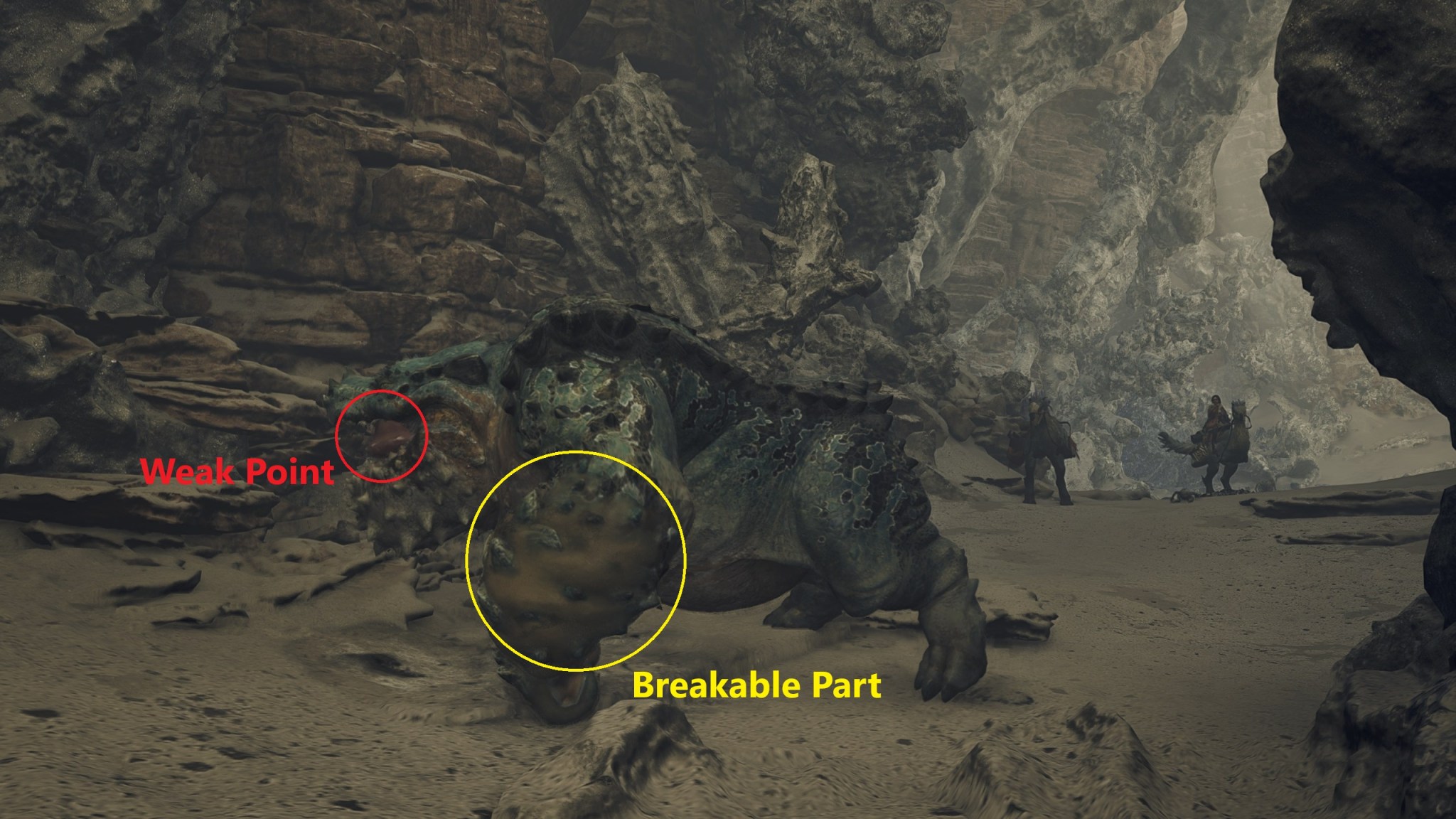 How to beat and break all parts on Chatacabra in Monster Hunter Wilds ...