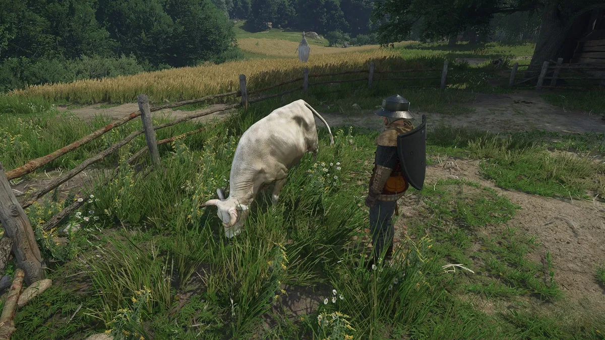 Should you paint the bull or rat out Prochek in Kingdom Come ...