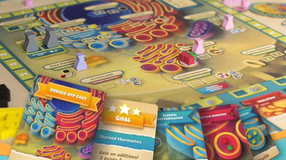 Our 10 Most Favorite Educational Board Games To Play – Destructoid