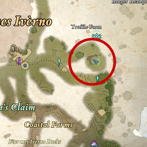 All Unique Clothing in Avowed and How to Find it