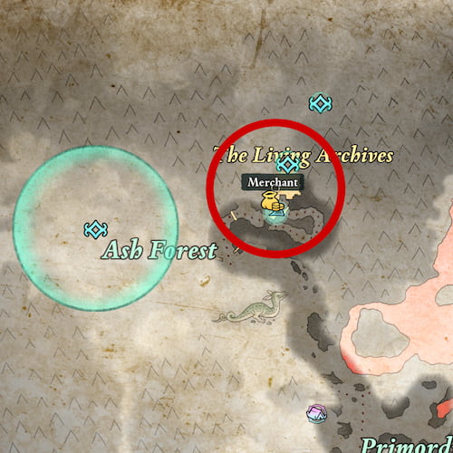 All Unique Clothing in Avowed and How to Find it