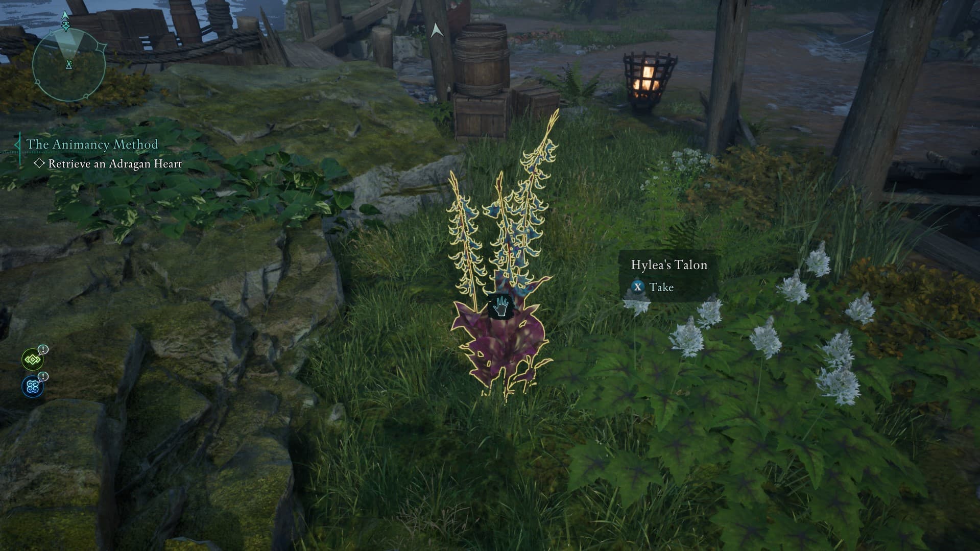 Where to find Paradisan Ladder, Hylea's Talon and Admeth's Wyrt in Avowed – Destructoid