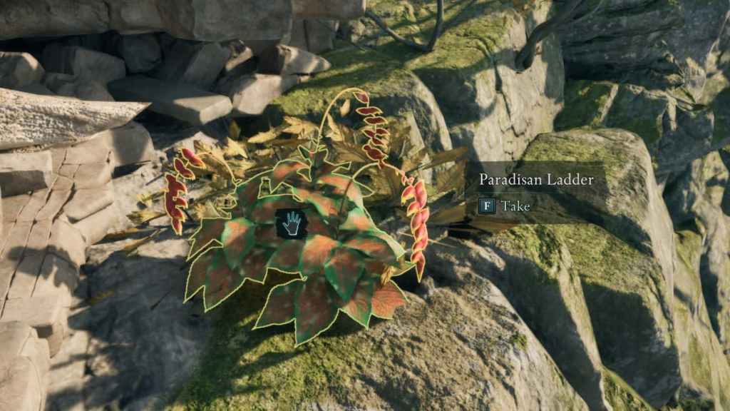 Where to find Paradisan Ladder, Hylea's Talon and Admeth's Wyrt in ...