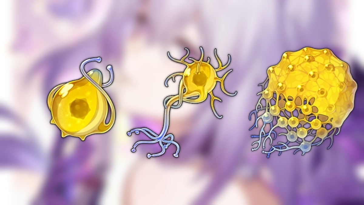Honkai Star Rail Castorice ascension materials – Destructoid
