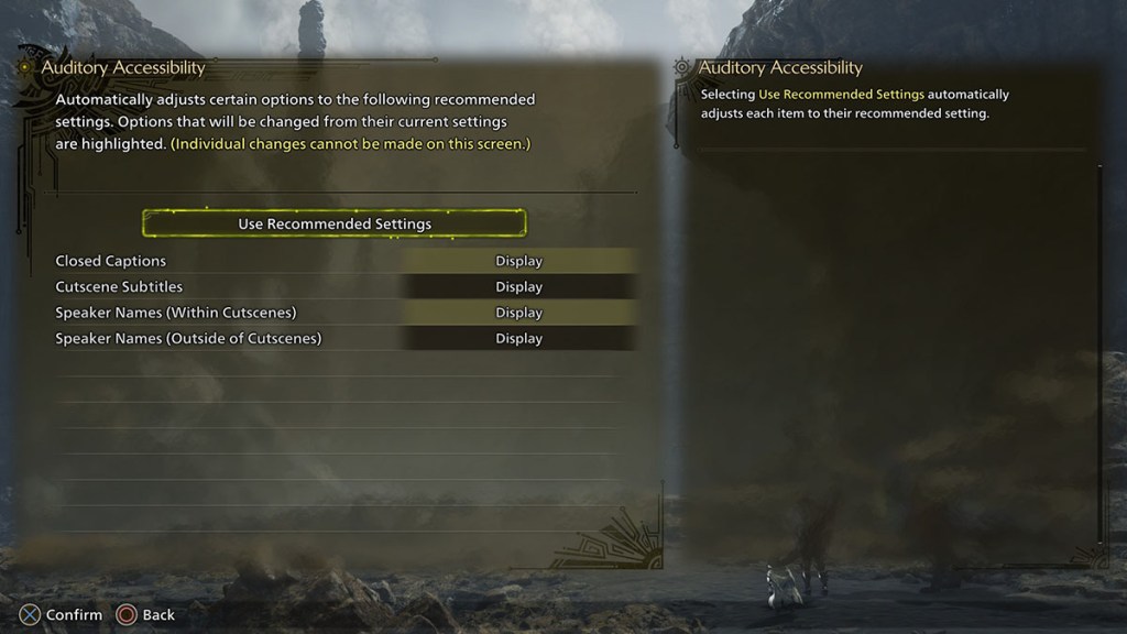All accessibility settings in Monster Hunter Wilds – Destructoid