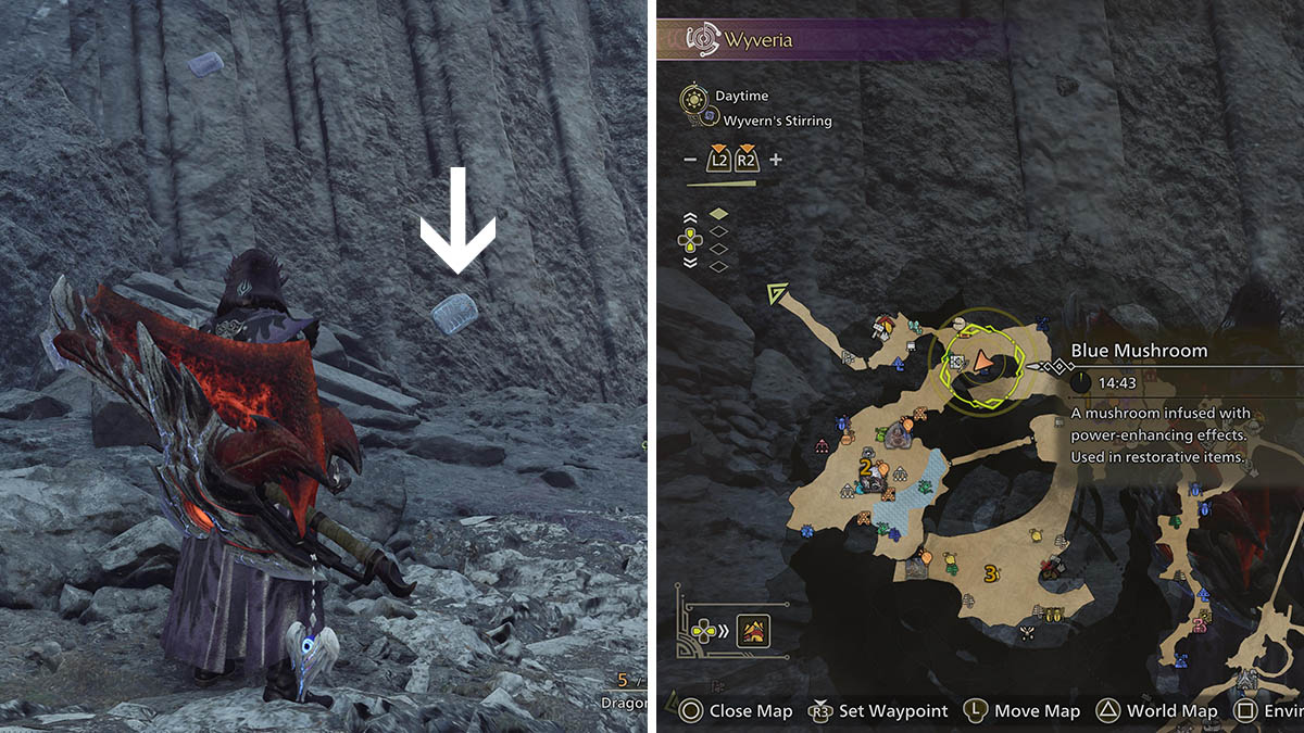 All rare endemic life locations and how to display them in Monster ...