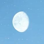 All moon phases in Monster Hunter Wilds