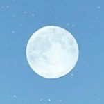 All moon phases in Monster Hunter Wilds