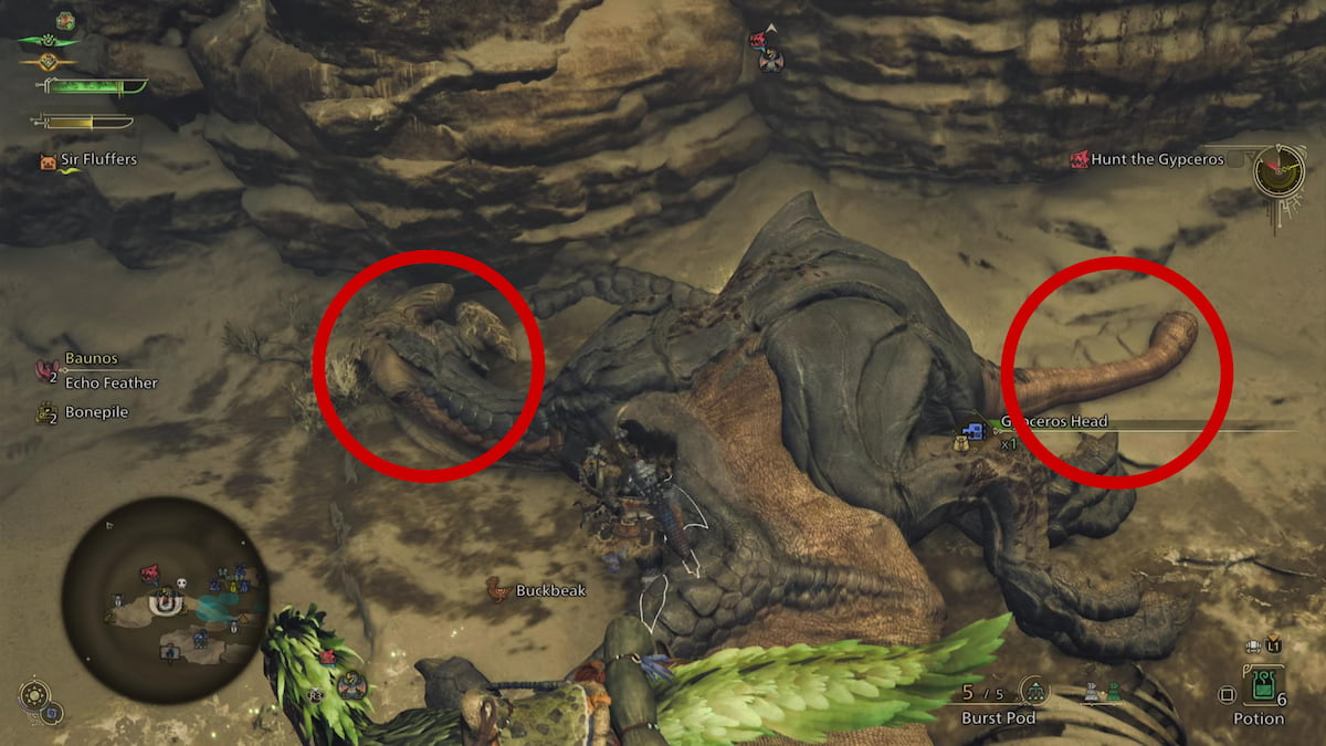 Monster Hunter Wilds: How to find Gypceros in the Plains (Beware the Gypceros quest)