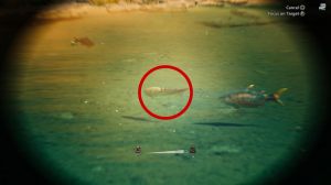 Monster Hunter Wilds Gravid Bowfin guide: All locations and how to catch