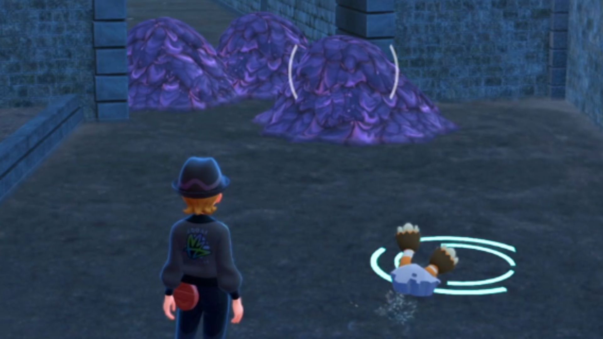 How to find a Revitalizing Twig in Pokémon Legends Z-A – Destructoid