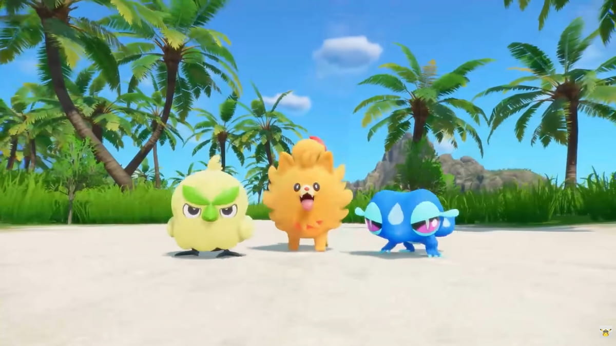 Pokémon fans think Winds and Waves' adorable widdle starters might ...